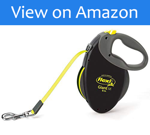 5 Best Retractable Dog Leads in 2019 – Our Top Choices | Dog Desires