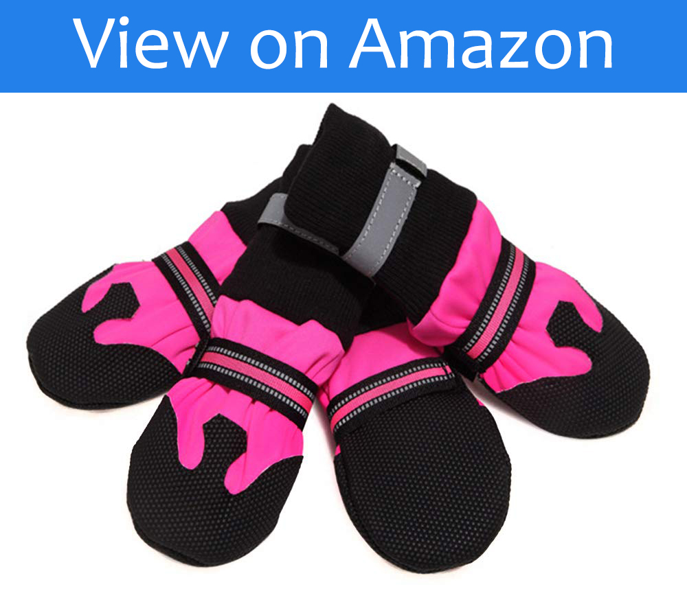 Dog Wellies - Our 5 Top Recommendations | Dog Desires