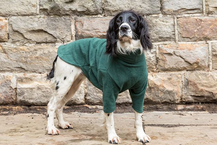 Equafleece Dog Suit Review - Dog Desires