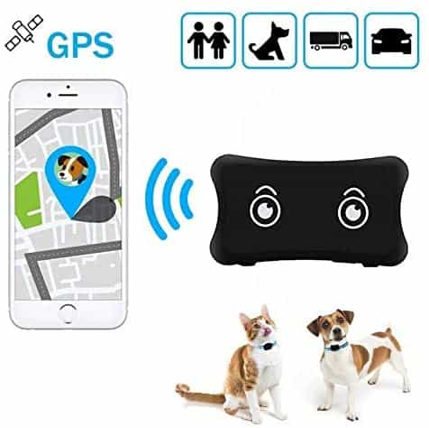 The 5 Best Dog Trackers in 2020 UK – (Pet GPS Trackers) | Dog Desires