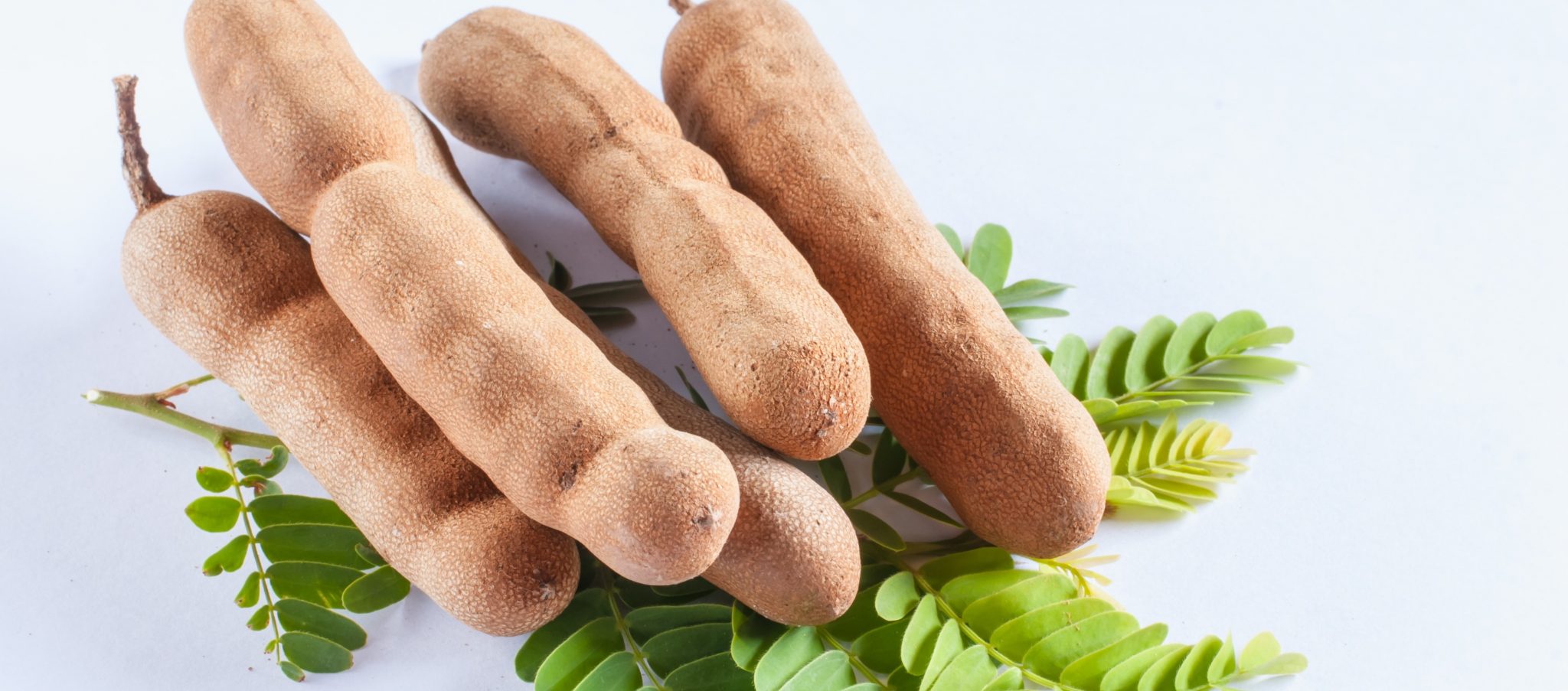 Can Dogs Eat Tamarind? - Dog Desires