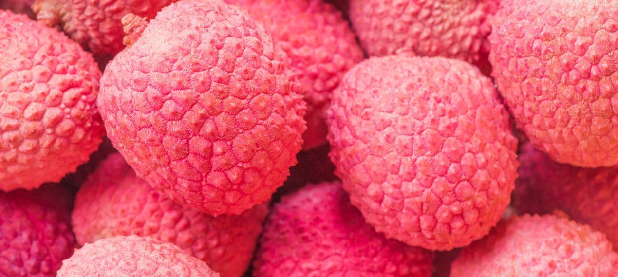 Can Dogs Eat Lychee – Understanding the Details - Dog Desires