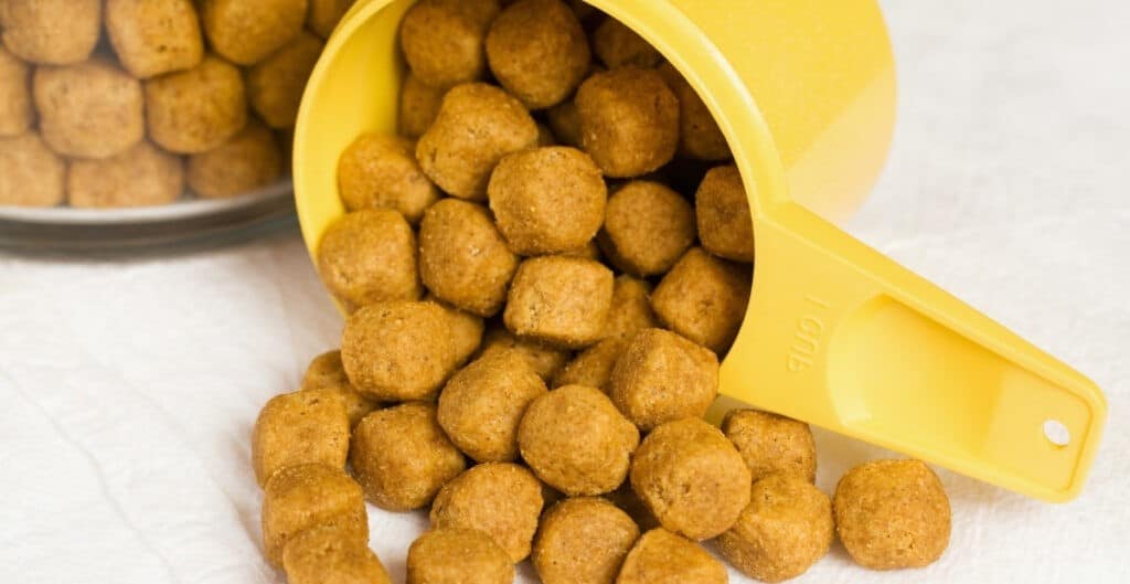 How Big Is A Cup Of Dog Food Dog Desires How Big Is A Cup Of Dog Food Dog Desires